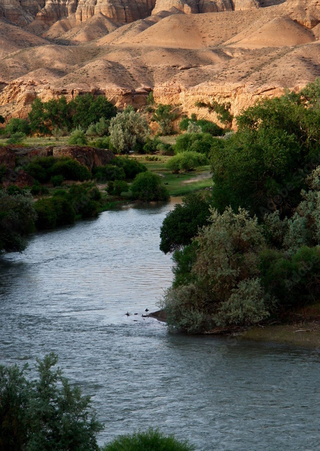 MANA WATER - The Oasis in a Bottle.